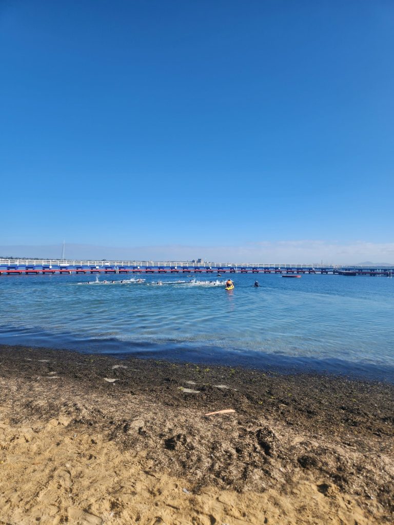 Archives: News - GISSA